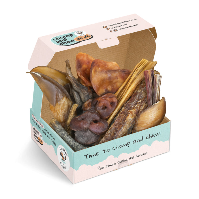 Power Chomper Box® - Variety Dog Treats – chompchew