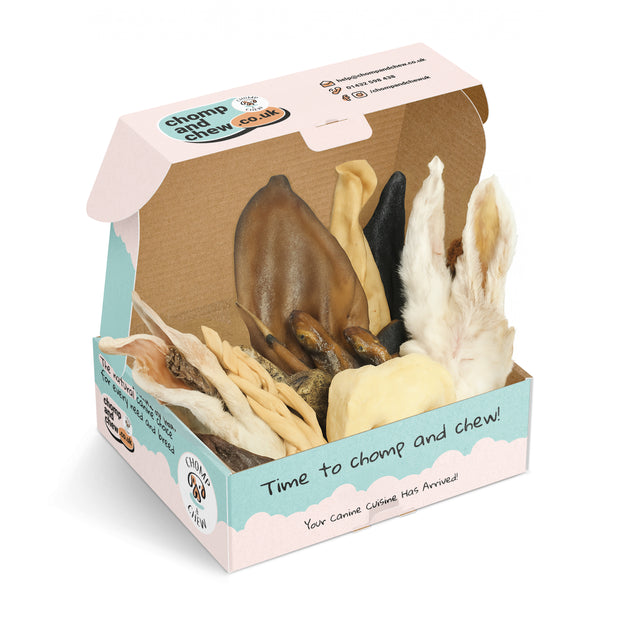 Sensitive Chomper Box® - Variety Dog Treats – chompchew