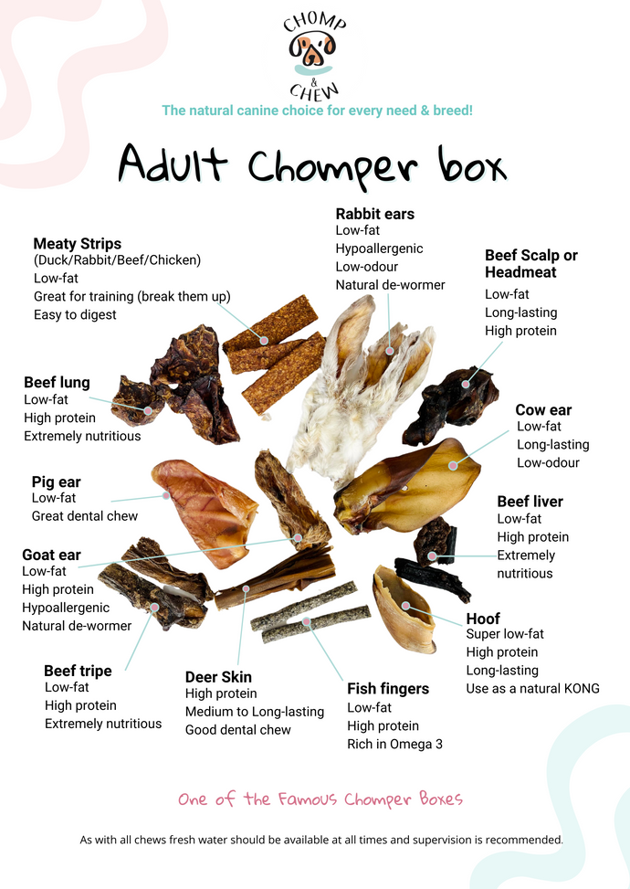 Adult Chomper Box® - Variety Dog Treats – chompchew