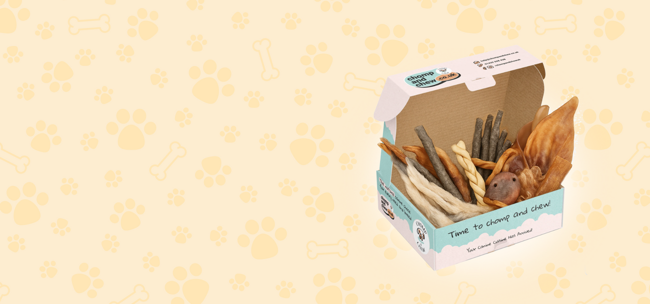 Chomp & Chew