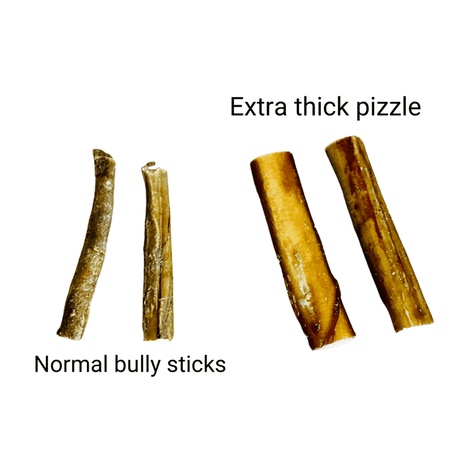 Bulls Pizzles (12cm) - EXTRA THICK - Chomp & Chew