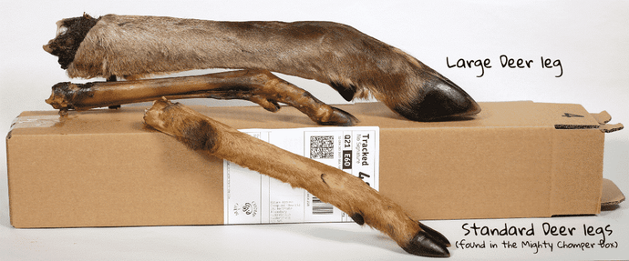 Large Deer Leg with Fur - Chomp & Chew