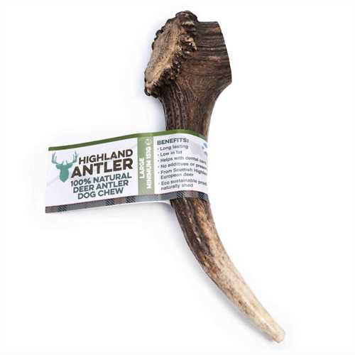 Antler Dog Chew – Chomp & Chew