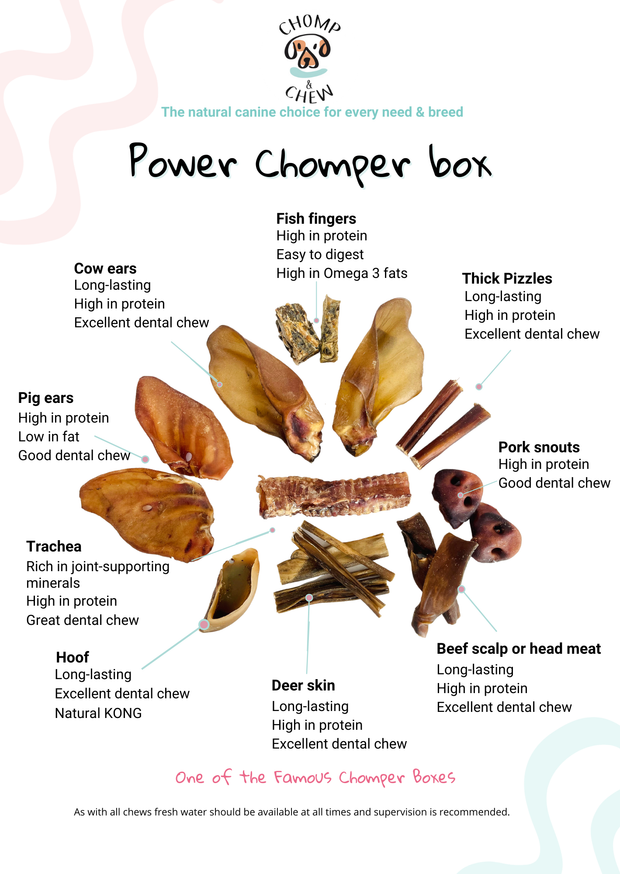 Power Chomper Box® - Variety Dog Treats – chompchew
