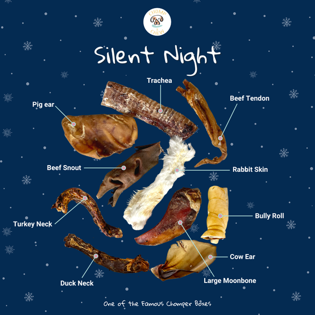 Silent Night Festive Chomper Box® – chompchew